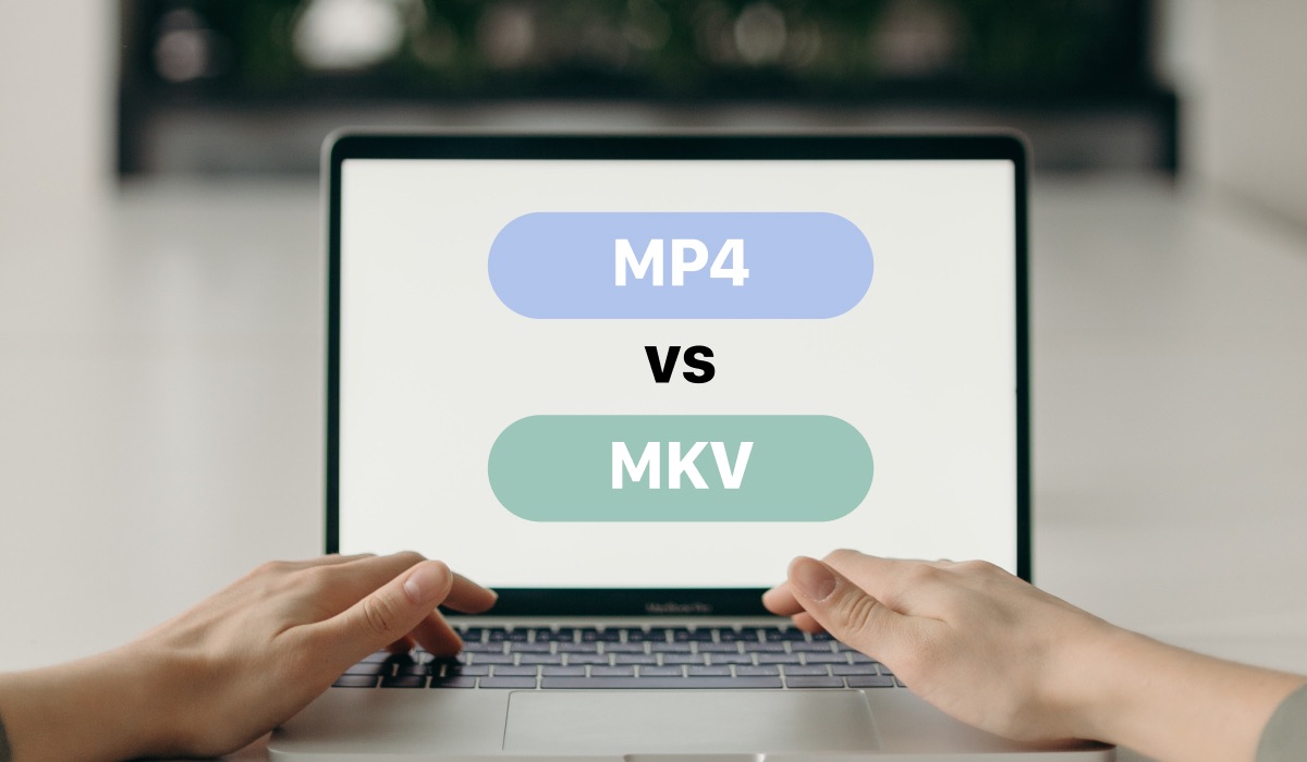 MP4 Vs MKV Video File Format Ultimate Guide | VideoMeister